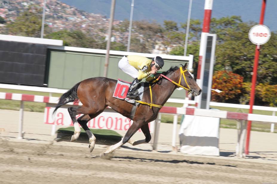 My Racing Mate se impuso fácilmente en la Especial Sweet Candy - EL ...