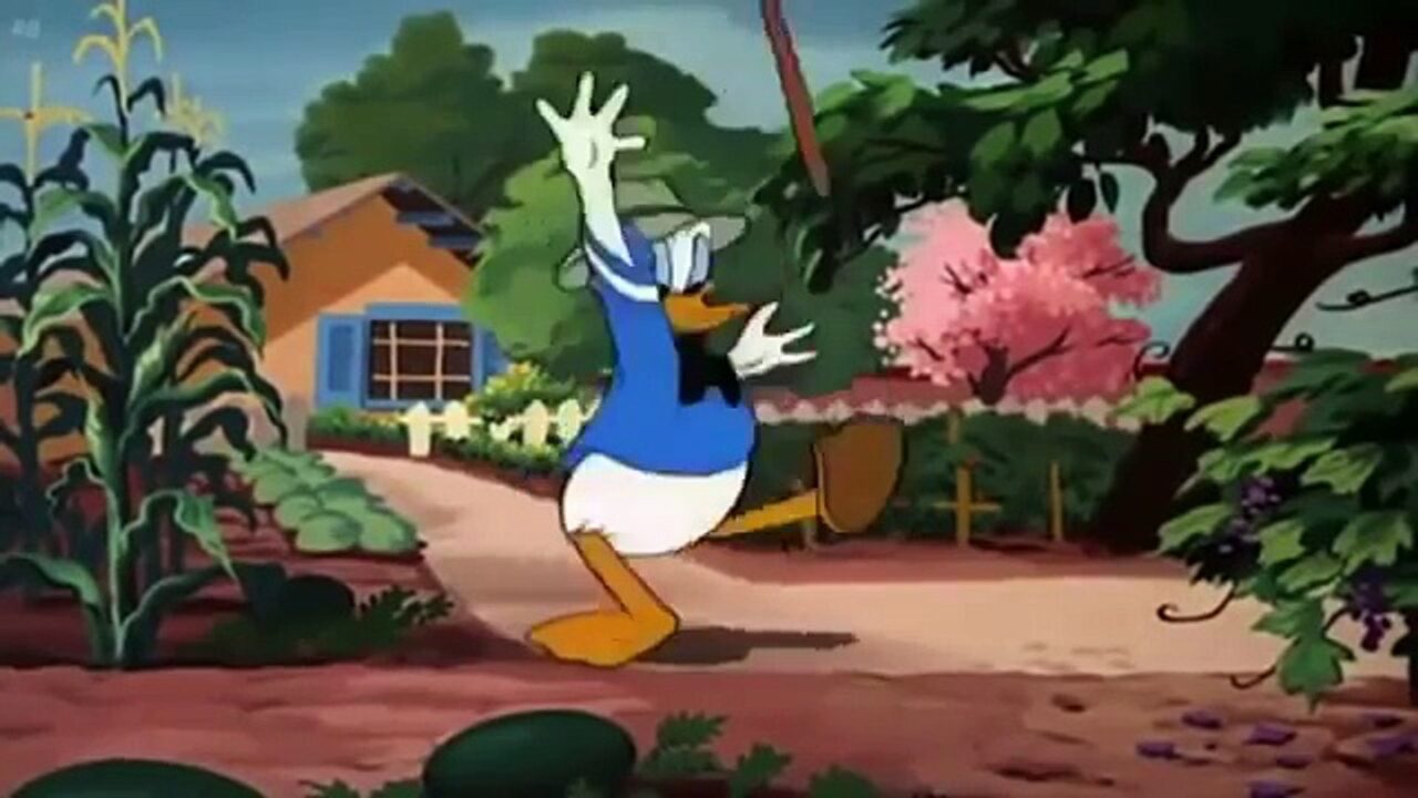 Disney celebra cumpleaños del Pato Donald con programación especial ...