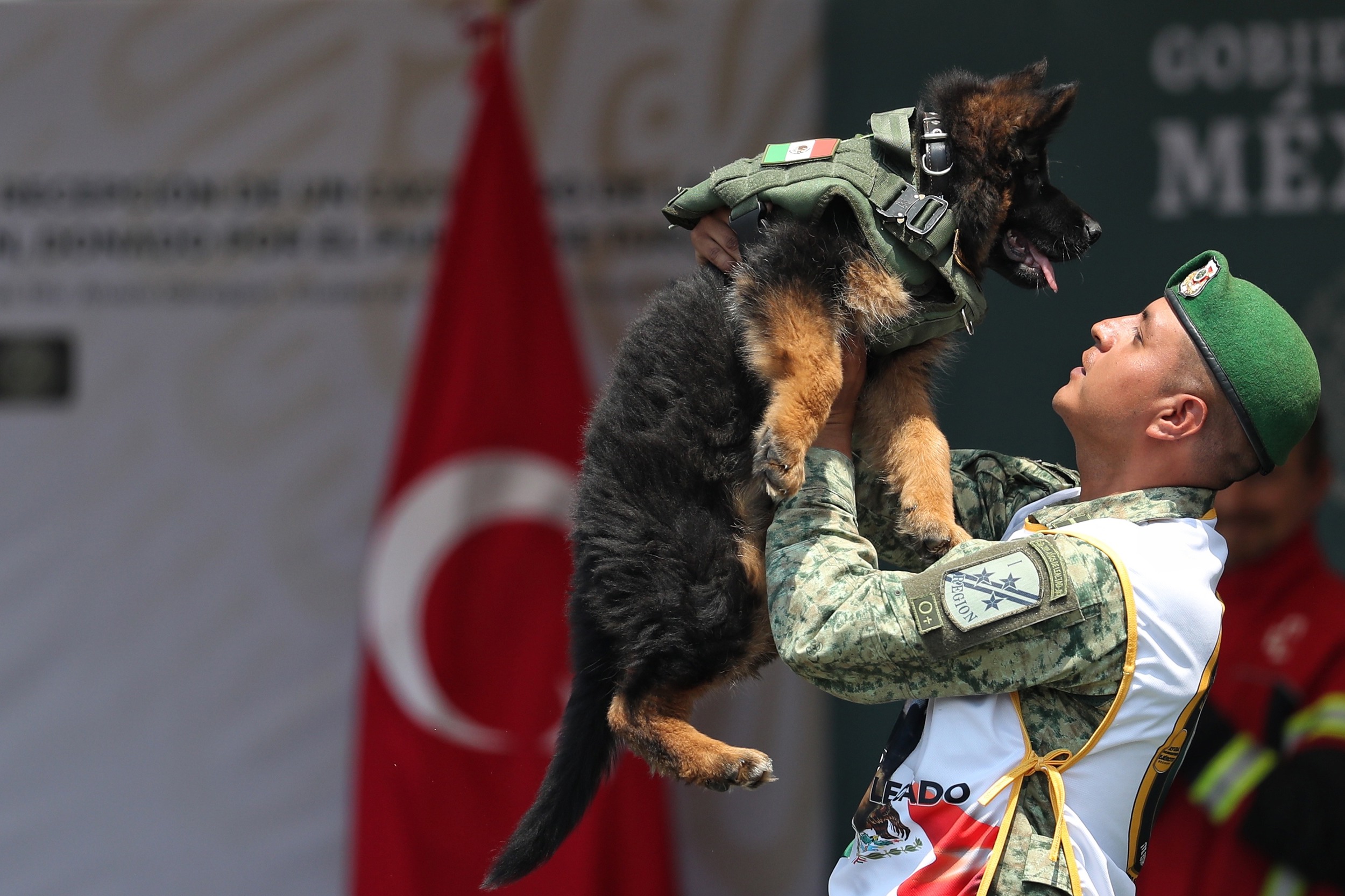 México presenta a Arkadas, cachorro de rescate donado por Turquía