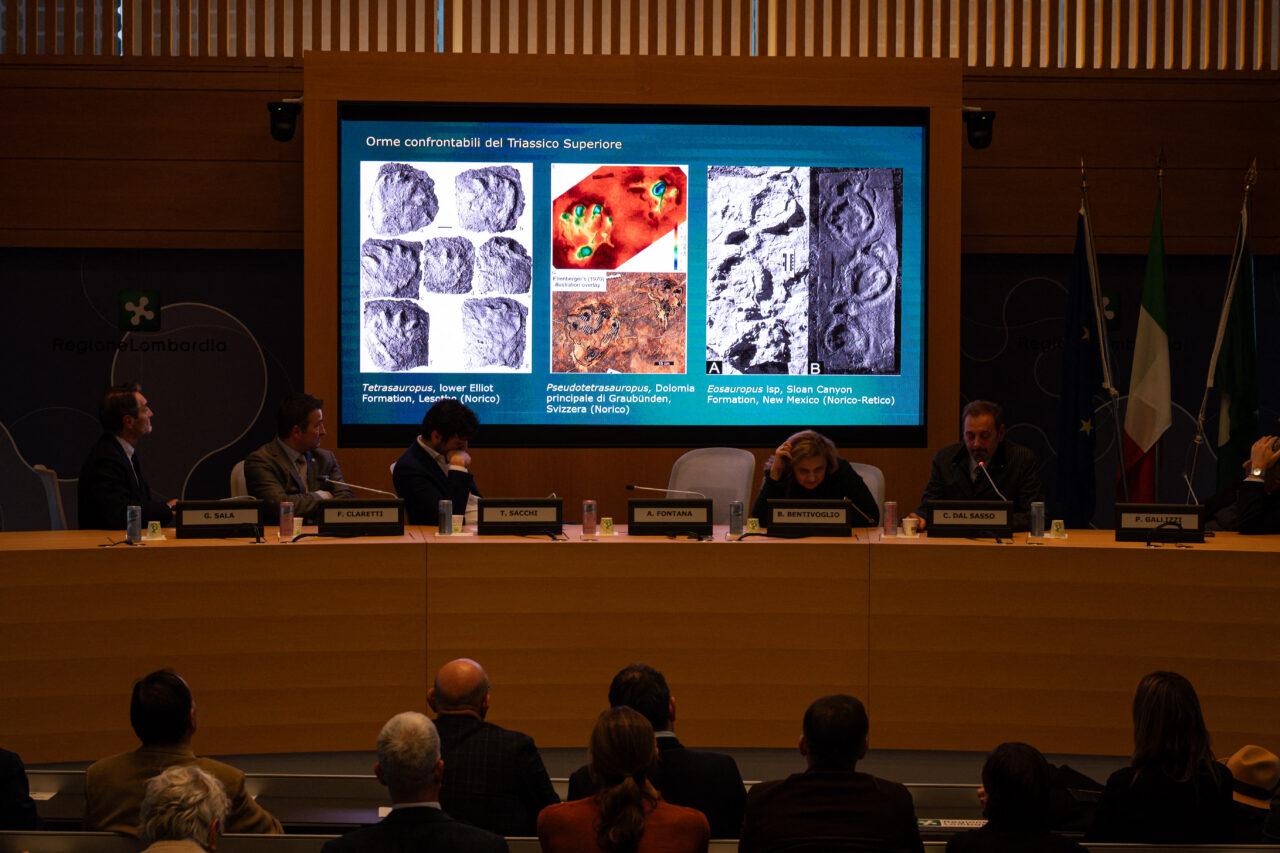 Hallan una inmensa colección de huellas de dinosaurio en Italia - EL ...